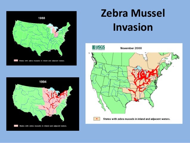 Chehalis Freshwater Mussels 2014