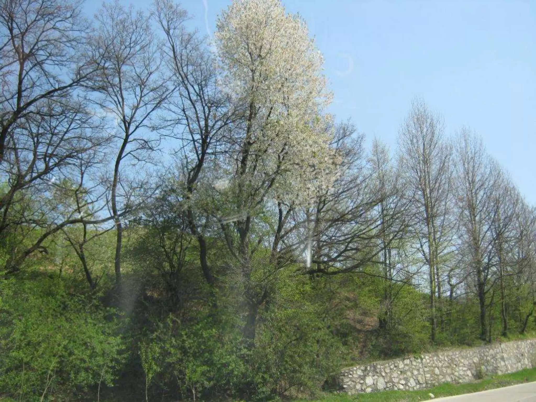 Cheile Butii | PPSX