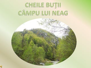 Cheile Butii | PPT | Free Download