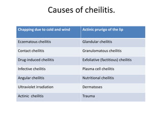 Cheilitis | PPTX