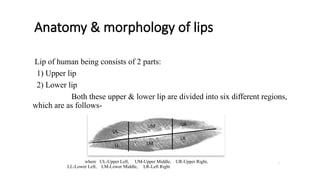 Cheiloscopy ppt. LIP PRINTING FORENSIC PATHOLOGY | PPTX
