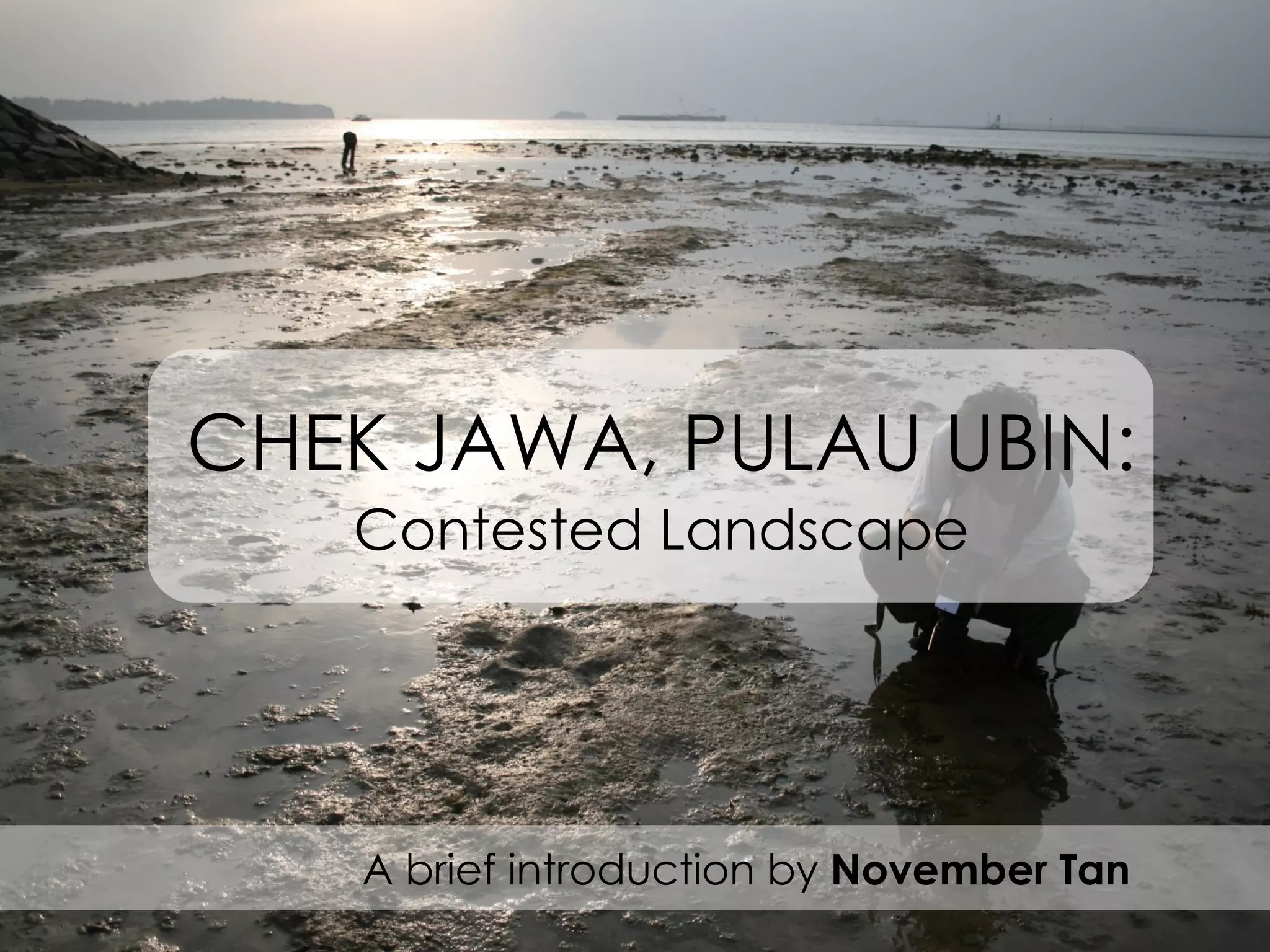Chek Jawa as "contested landscape" | PPT | Environment | Science