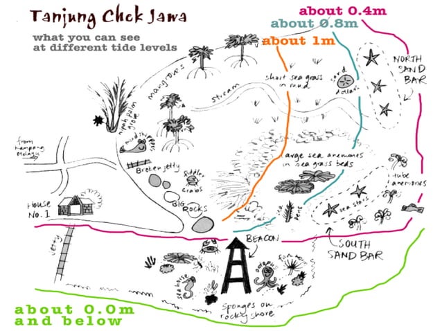 Chek Jawa as "contested landscape" | PPT
