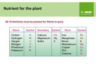 Chelated micronutirnets rev 2 | PDF