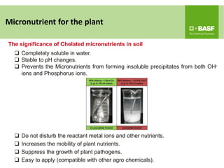 Chelated micronutirnets rev 2 | PDF