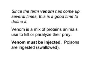 Subphylum Chelicerata Notes | PPT