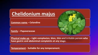 Chelidonium majus.homeopathic materia medica slide show presentation by ...