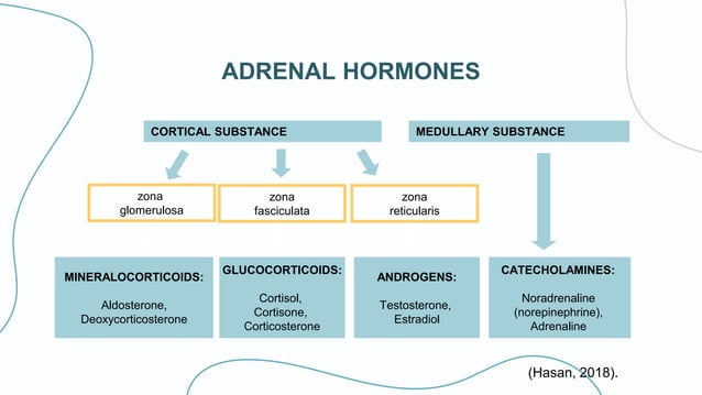 PATHOPHYSIOLOGY OF ADRENAL INSUFFICIENCY: A HORMONAL AND METABOLIC DISORDER