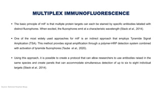 EXPLORING THE CONCEPT OF MULTIPLEXING IN IMMUNOHISTOCHEMISTRY | PPTX