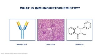 EXPLORING THE CONCEPT OF MULTIPLEXING IN IMMUNOHISTOCHEMISTRY | PPTX