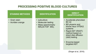 BLOOD CULTURE AS AN IMPORTANT DIAGNOSTIC TOOL IN MEDICAL MICROBIOLOGY ...