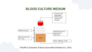 BLOOD CULTURE AS AN IMPORTANT DIAGNOSTIC TOOL IN MEDICAL MICROBIOLOGY ...