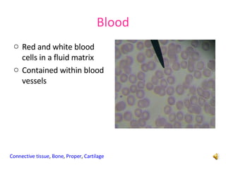 Chelseastissues | PPT