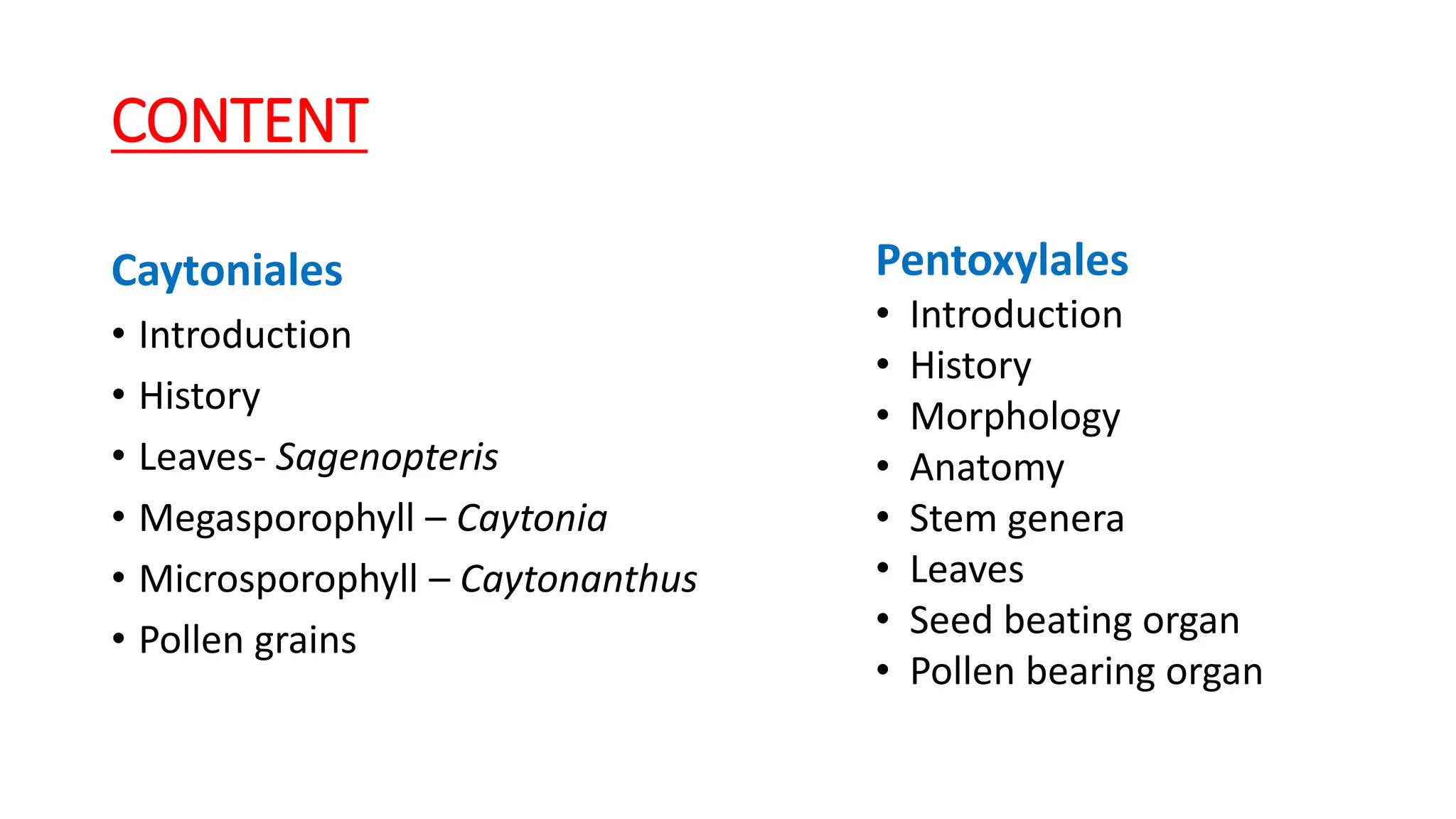 Caytoniales and pentoxylales.pptx
