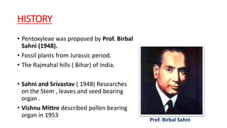 Caytoniales and pentoxylales.pptx | Gardening | Home & Garden