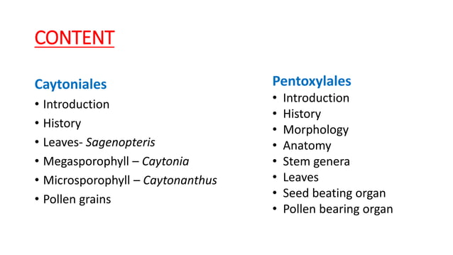 Caytoniales and pentoxylales.pptx | Gardening | Home & Garden