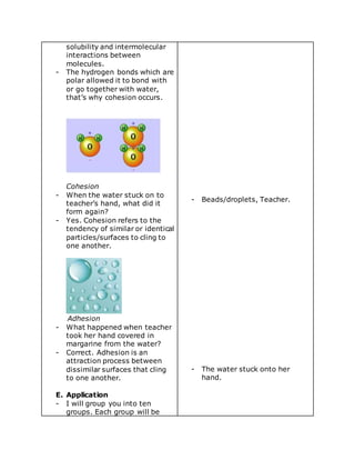 Lesson Plan about Polarity, Adhesion and Cohesion | DOCX