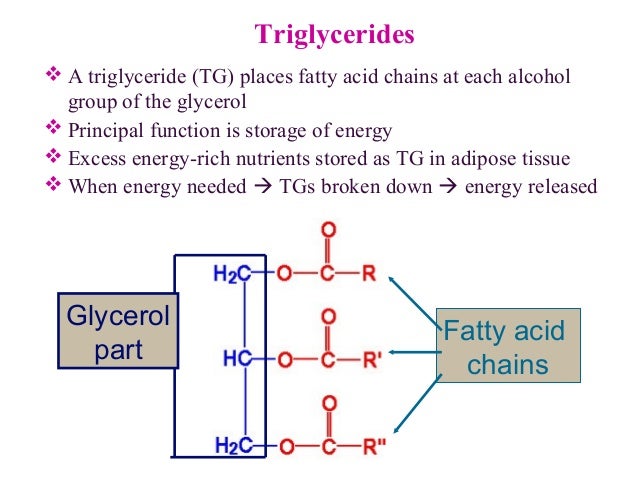 Chem 134 unit 8 lipids