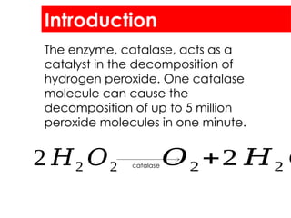 chem 141 enzymes in cellssssssssssssssss | PPTX