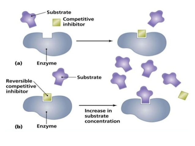 chem203chem203-lec3.-lec3.pptx-lec3.pptx