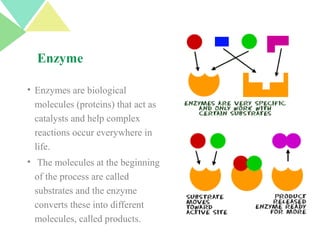 biochemistry | PPT
