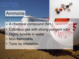 Chem Ace Ammonia | PPT