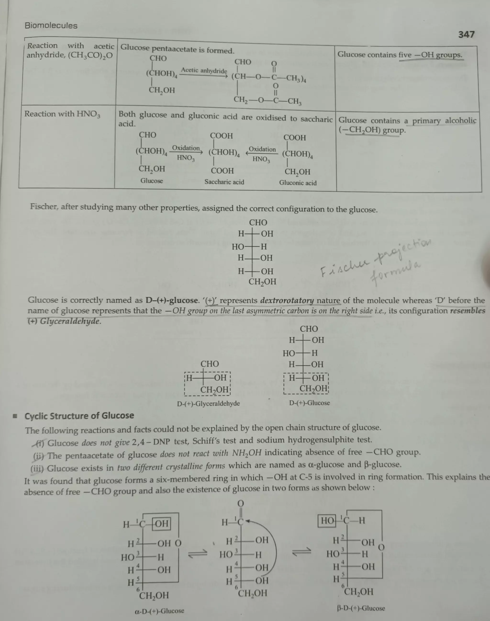Chem Ch-14 Biomolecules.pdf