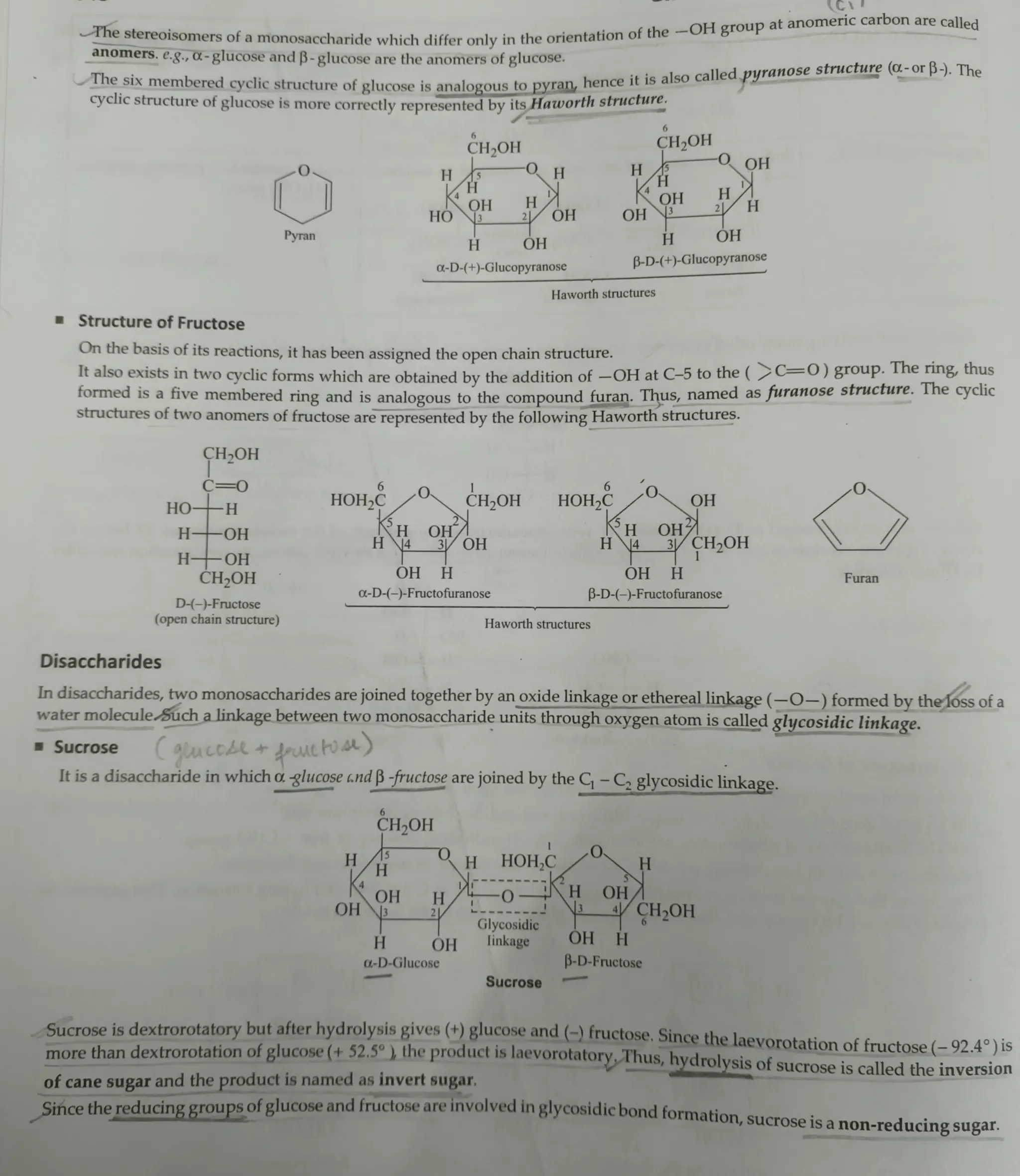 Chem Ch-14 Biomolecules.pdf