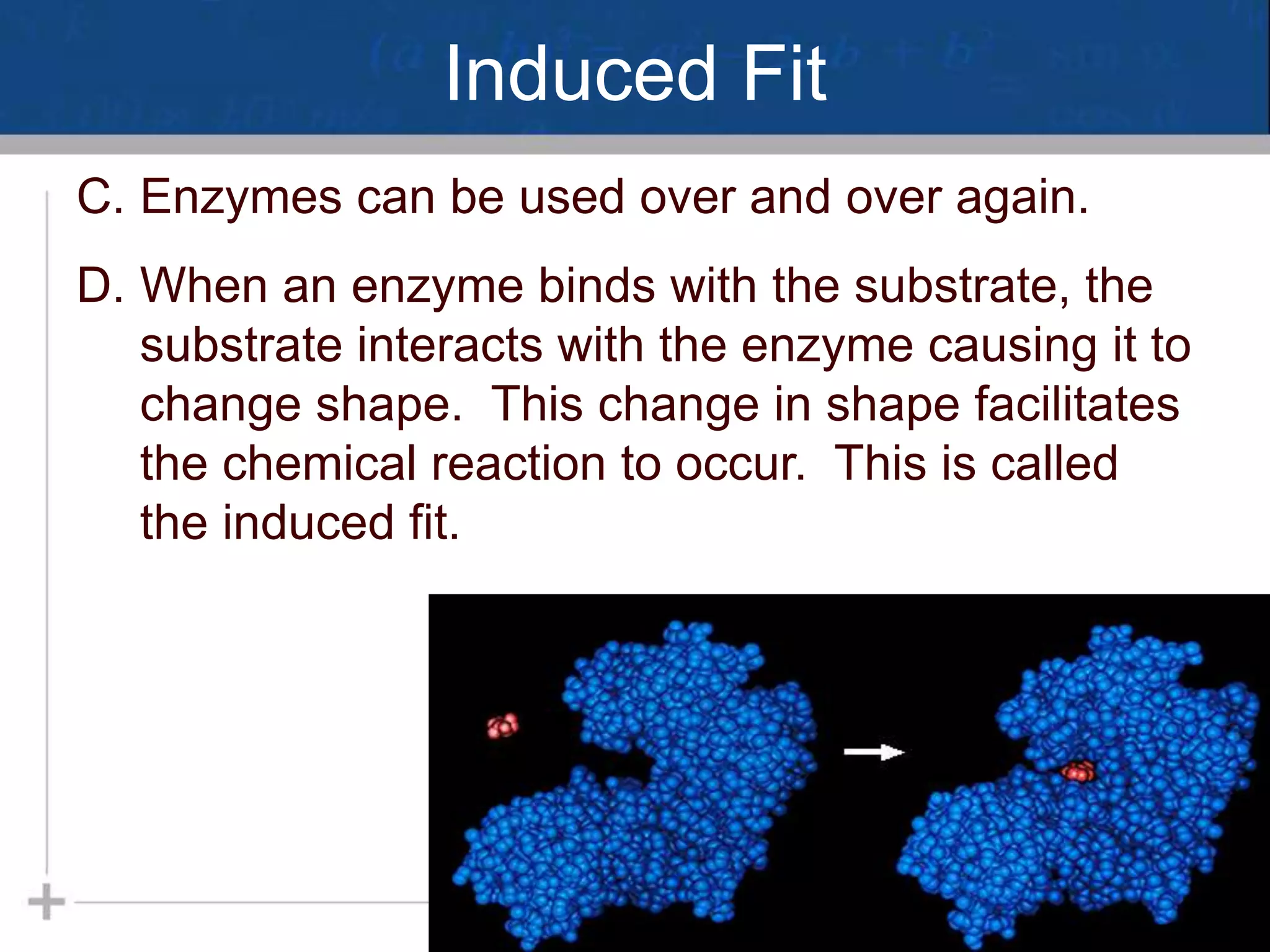 Chem_Enzymes.pptx