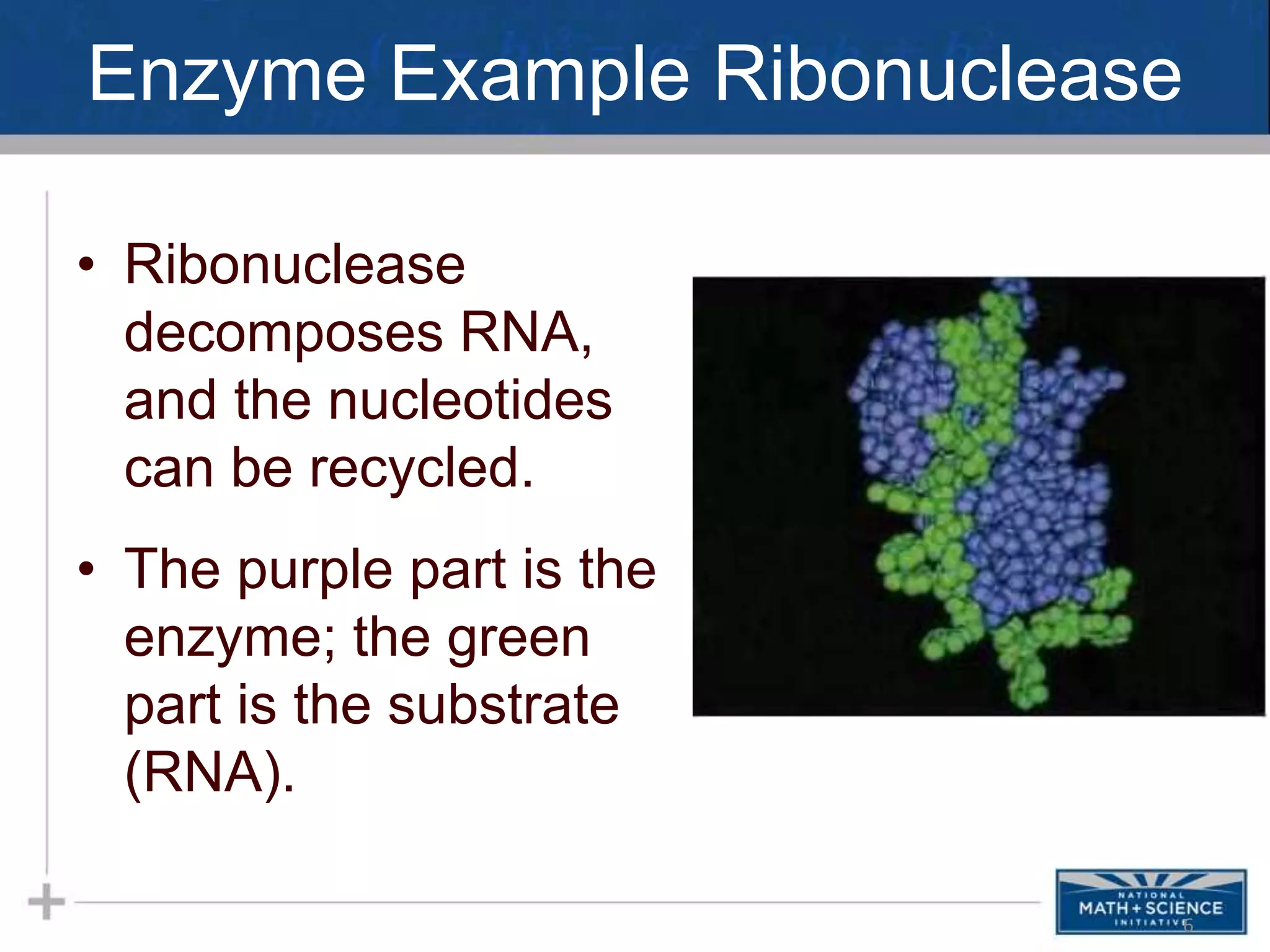 Chem_Enzymes.pptx