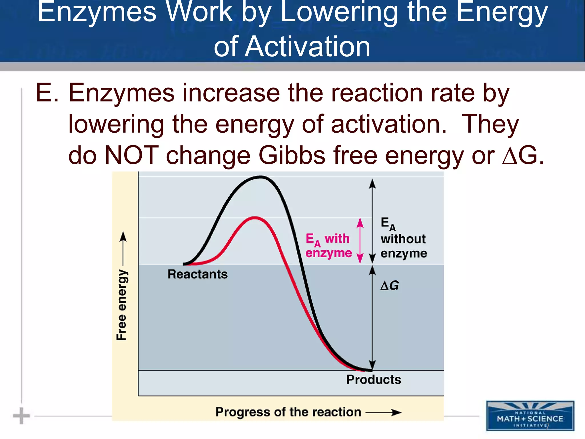 Chem_Enzymes.pptx