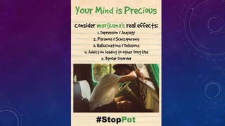 Hallucinogens- Marijuana & LSD | PPTX