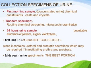 Chemical examination of urine | PPTX