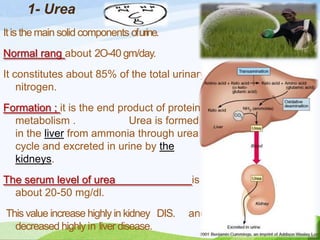 Chemical examination of urine | PPTX
