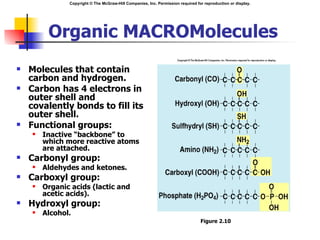 Chemical Composition of the Body | PPT