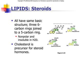 Chemical Composition of the Body | PPT