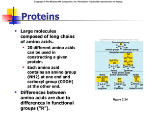 Chemical Composition of the Body | PPT