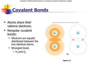 Chemical Composition of the Body | PPT