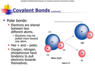 Chemical Composition of the Body | PPT