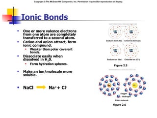 Chemical Composition of the Body | PPT