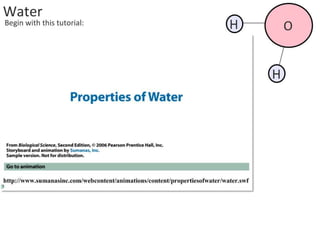 Chemical Elements and Water | PPTX
