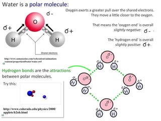 Chemical Elements and Water | PPTX