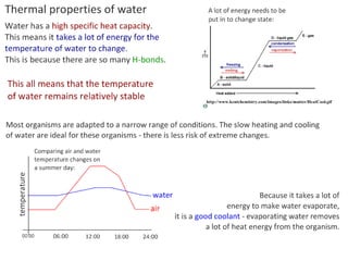 Chemical Elements and Water | PPTX