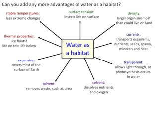 Chemical Elements and Water | PPT