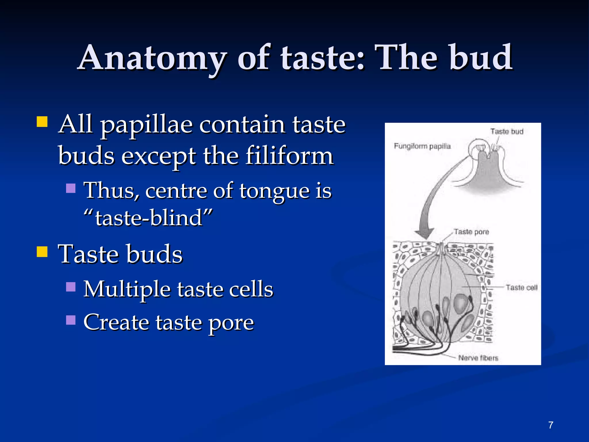 Chemical senses - smell and taste | PPT