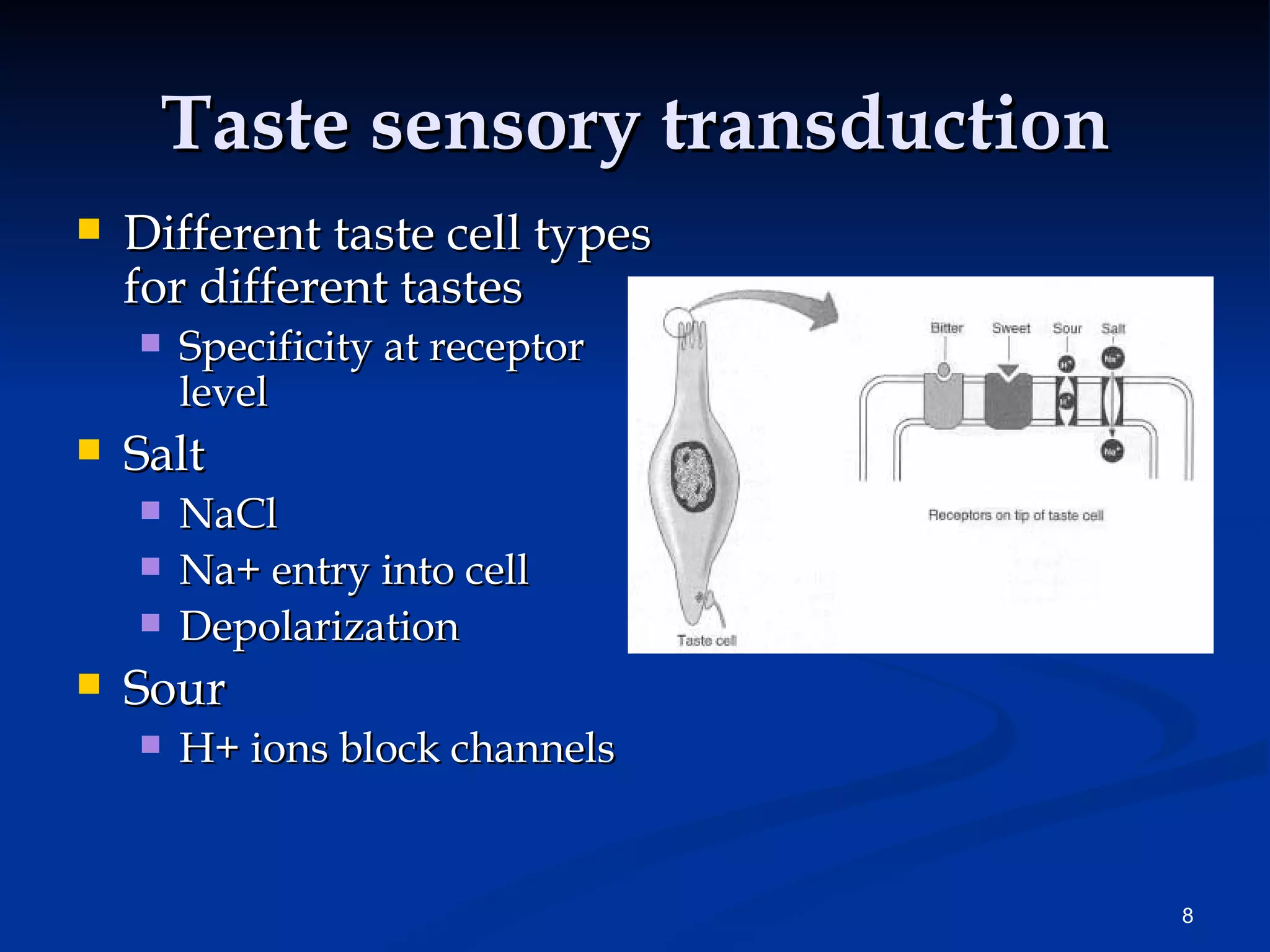 Chemical senses - smell and taste | PPT