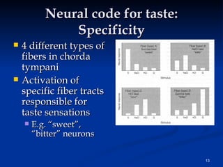 Chemical senses - smell and taste | PPT