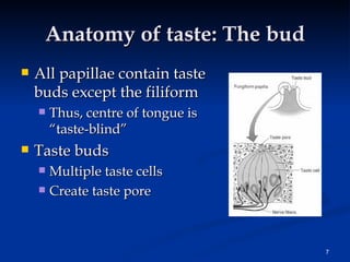 Chemical senses - smell and taste | PPT