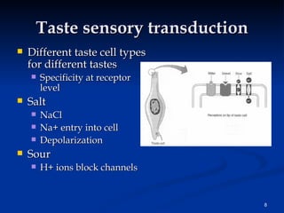 Chemical senses - smell and taste | PPT