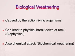 Chemical and biological weathering lesson 5 | PPTX